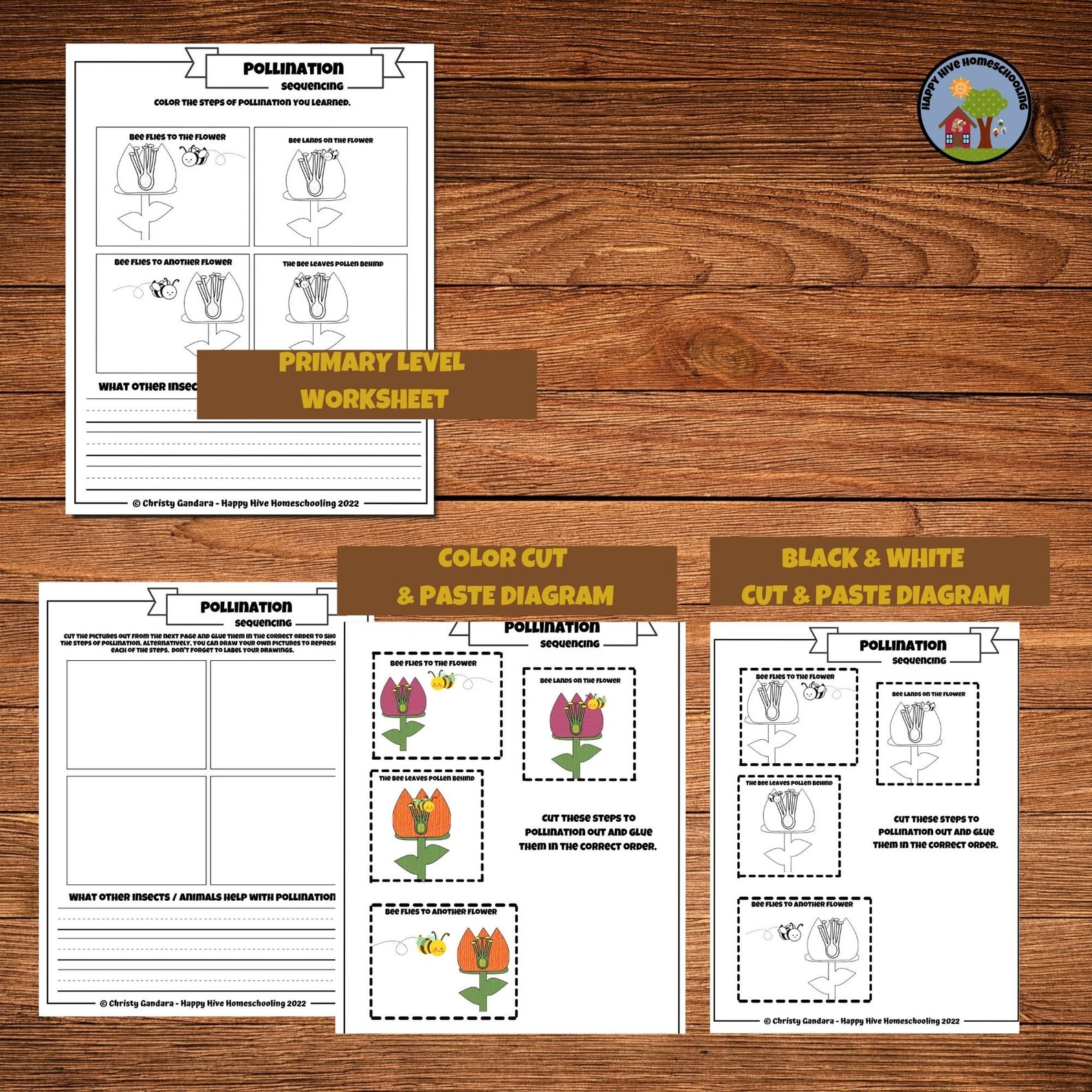 Bees, Flowers, & Pollination Printable Curriculum Lessons - Etsy
