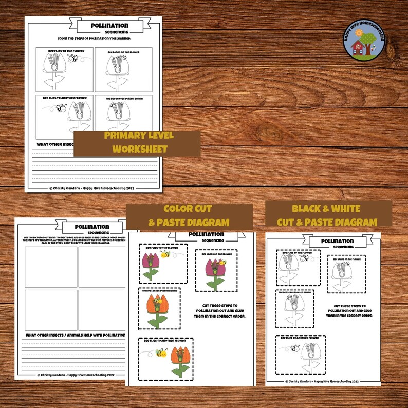 Bees, Flowers, & Pollination Printable Curriculum Lessons - Etsy