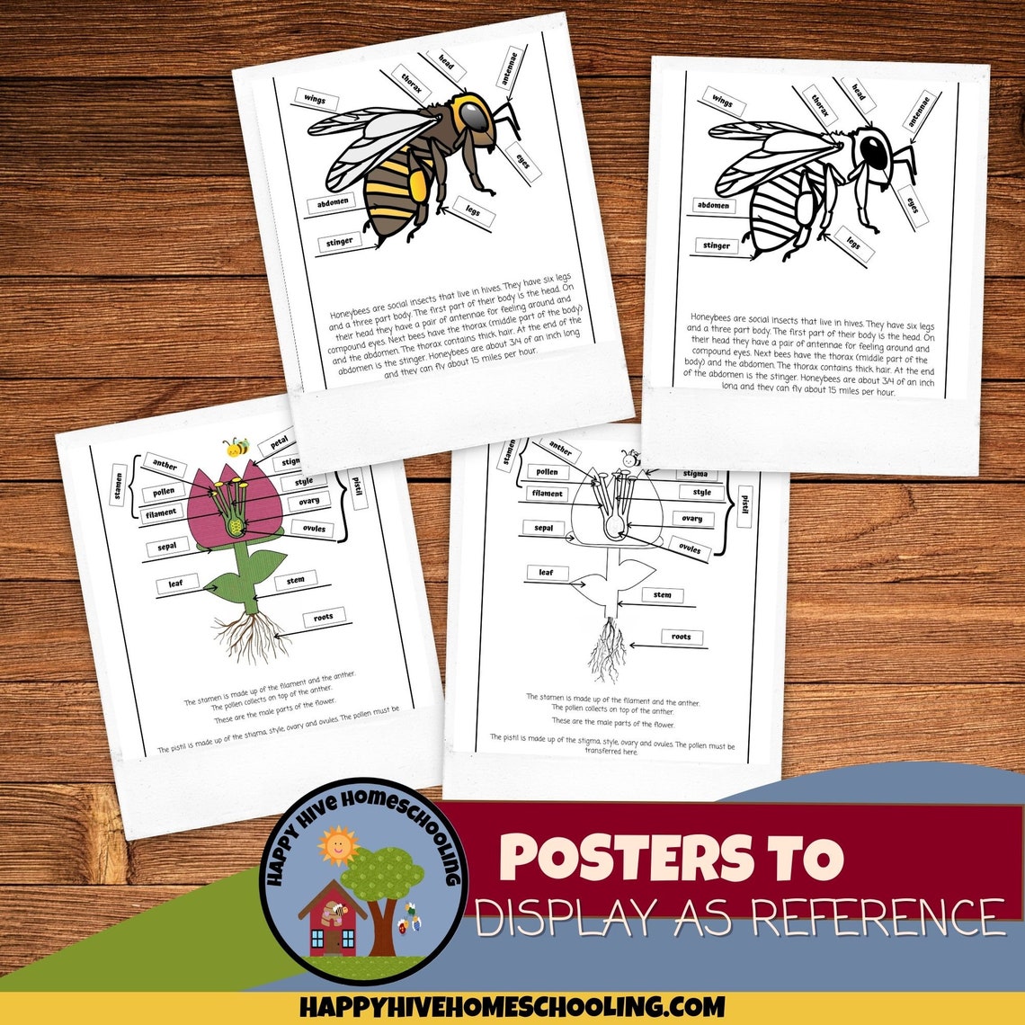 Bees, Flowers, & Pollination Printable Curriculum Lessons - Etsy