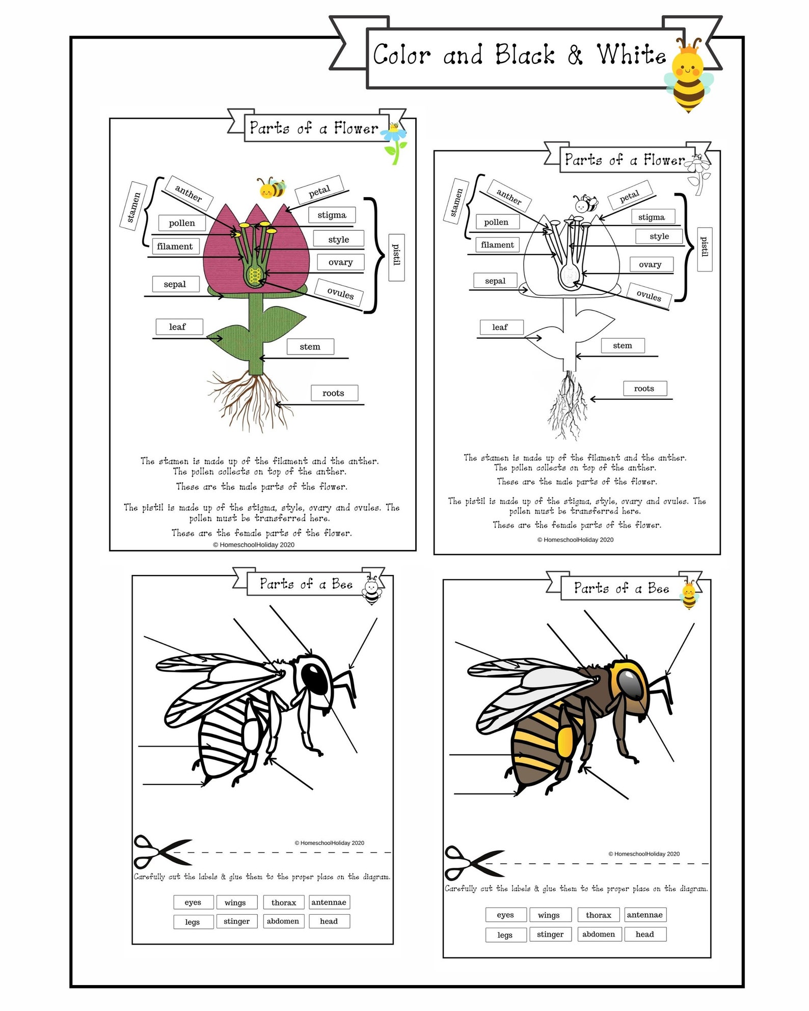 Bees Flowers & Pollination Printable Curriculum Lessons | Etsy