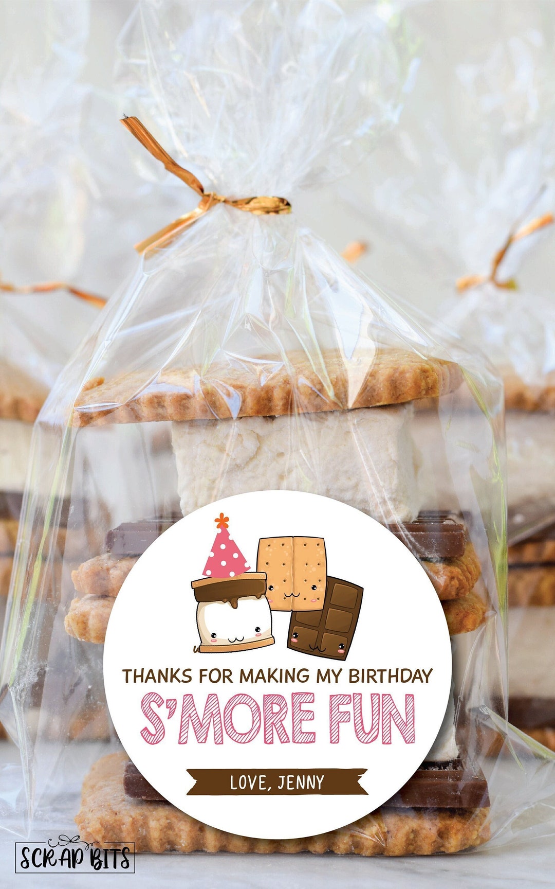 S'more Birthday Favor Stickers, Smore Fun Friends Personalized Party ...