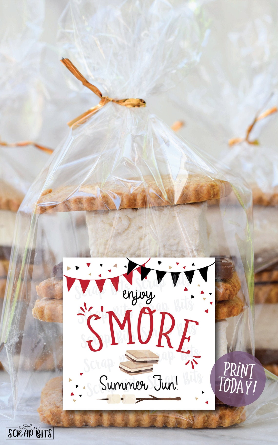 Enjoy S'more Summer Fun Tags . Printable S'more Tags . | Etsy