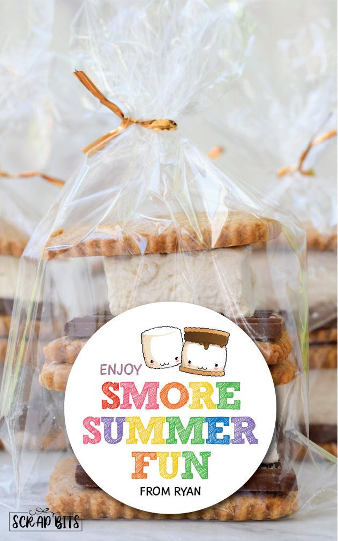 Smores Stickers & Bag, Enjoy Smore Summer Fun, Rainbow Block, Summer S ...