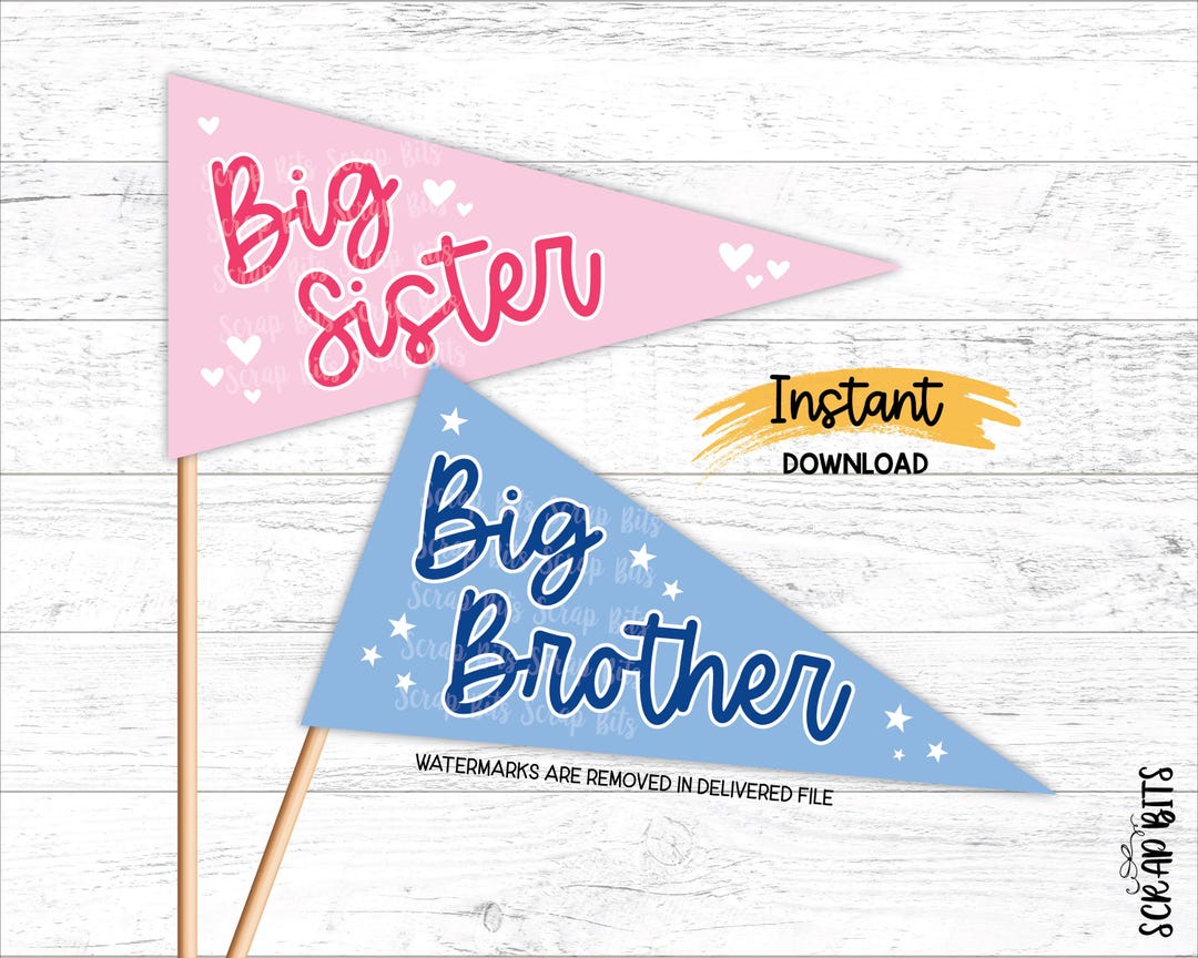 Big Sister & Big Brother Printable Pennant Flags, DIY Celebration Flags ...