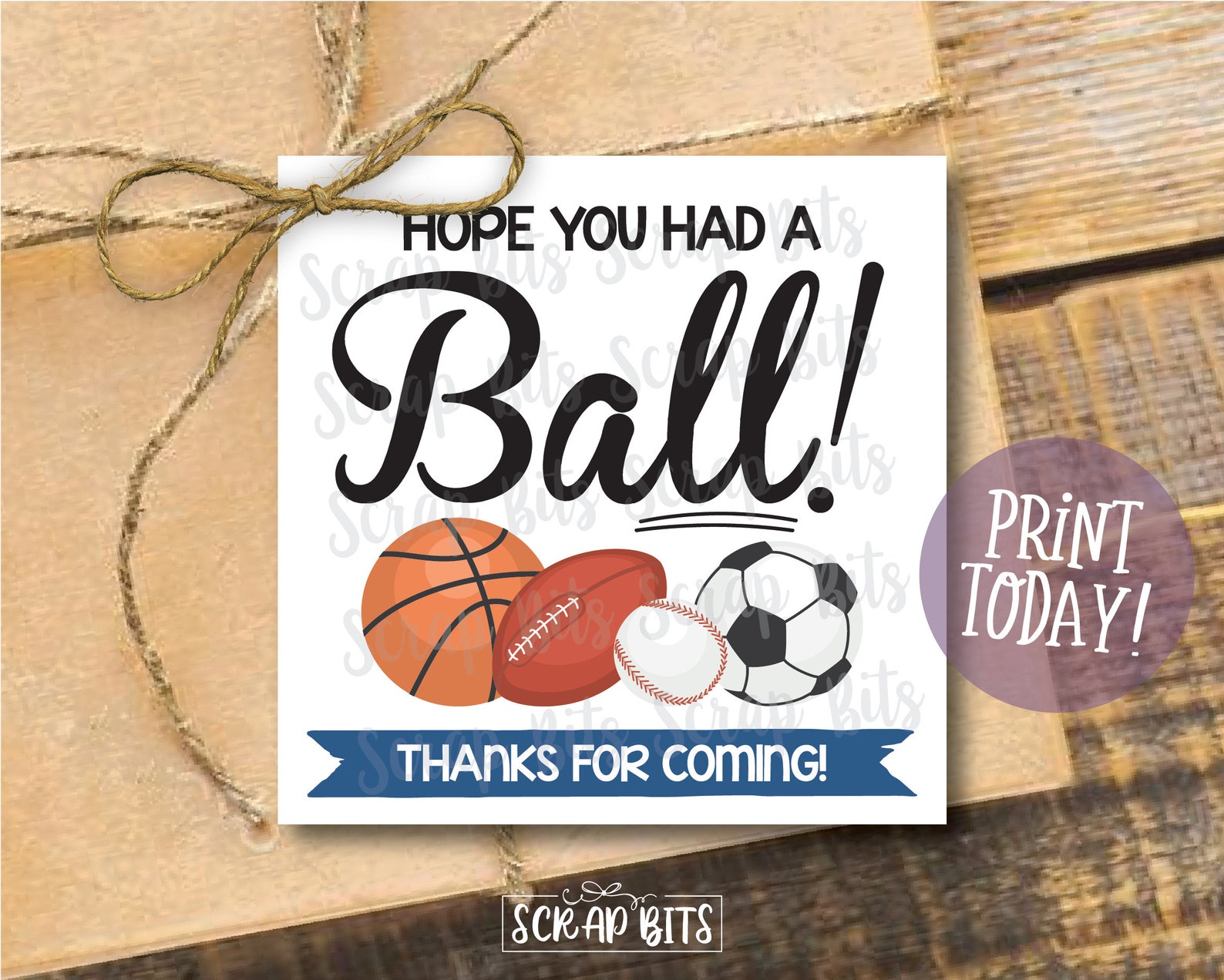 Hope You Had A Ball Tags, Printable Sports Balls Tags, Sports Birthday ...