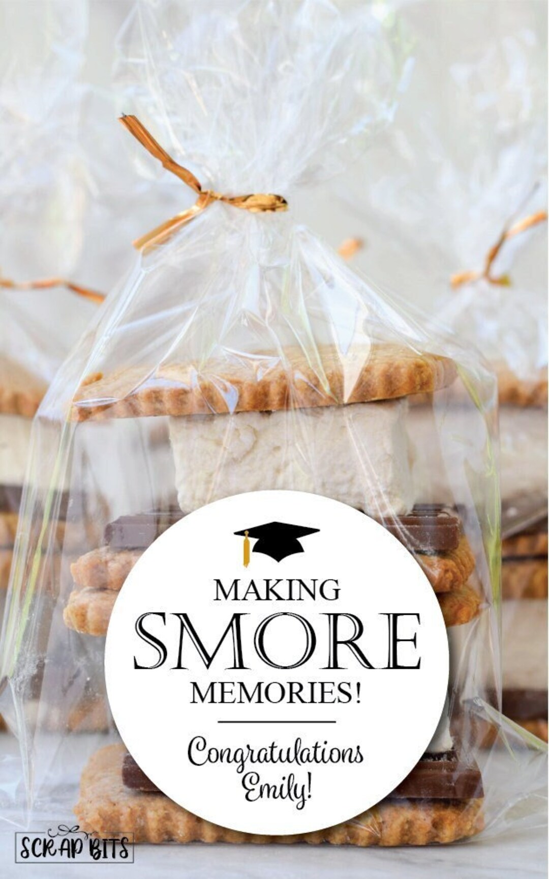 S'more Graduation Favor Stickers & Bags, Elegant Making S'more Memories ...