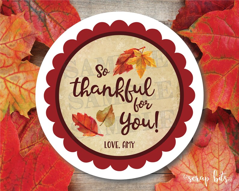 Thankful Stickers . so Thankful for You . Personalized - Etsy