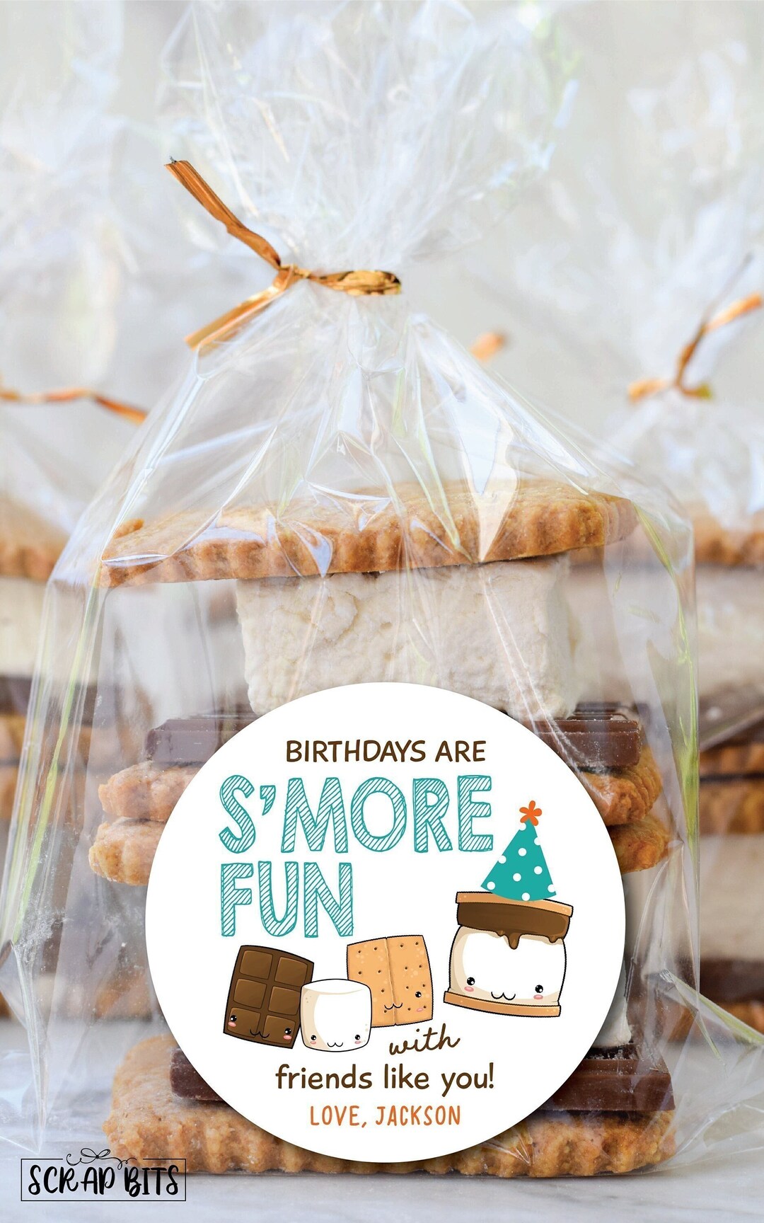 Birthday Smore Stickers & Bags, Birthdays Are Smore Fun With Friends ...
