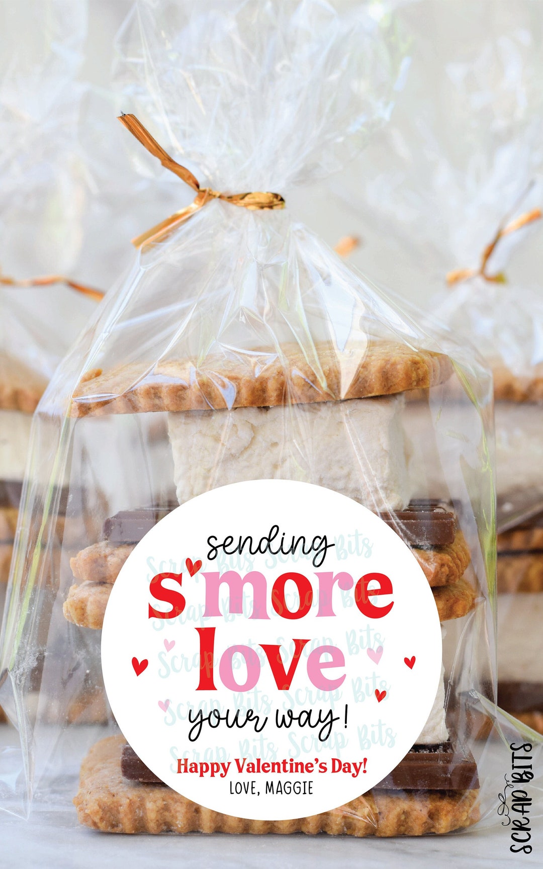 S'more Love Valentine Stickers & Bags, Sending Smore Love Labels, Funky ...