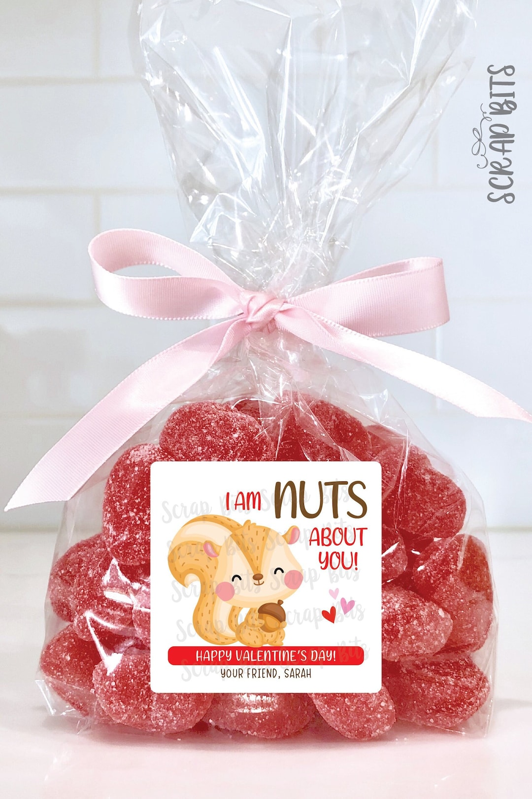 Valentine Gift Labels & Bags, Squirrel Valentines, I Am NUTS About You ...
