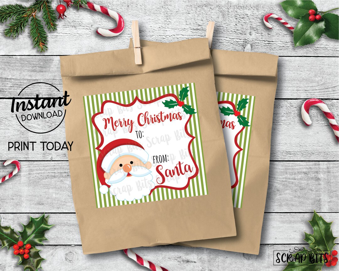 Kids Christmas Gift Tags, Printable to From Santa Tags for Xmas Present ...
