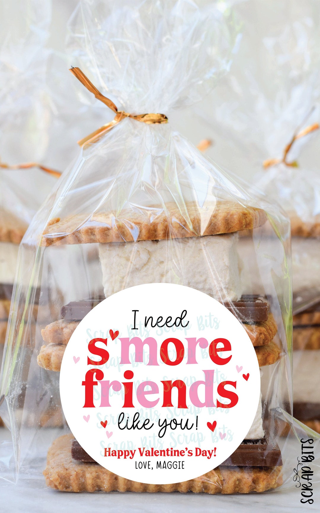 S'more Valentine Stickers & Bags, I Need S'more Friends Like You, Funky ...
