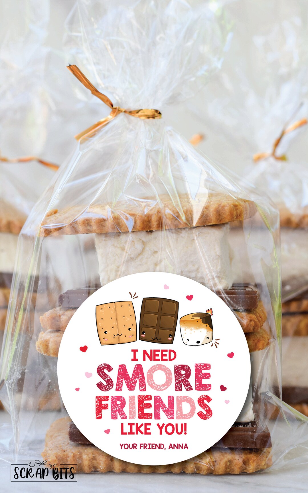 Valentine's Day Stickers . I Need Smore Friends Like You . Personalized ...