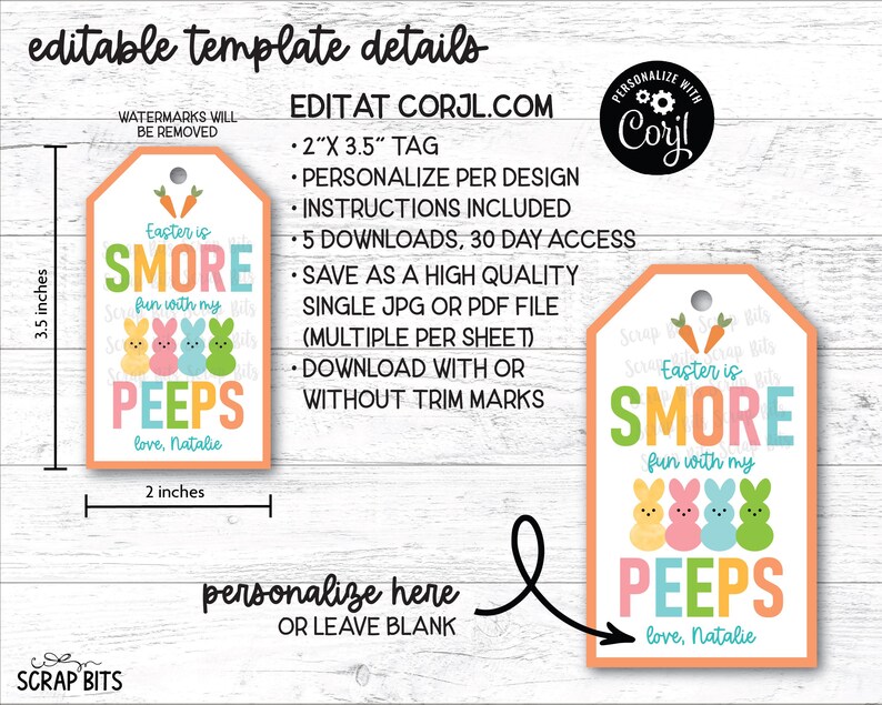 Printable Easter Smores Tags, Easter is Smore Fun With My Peeps Tags, S ...