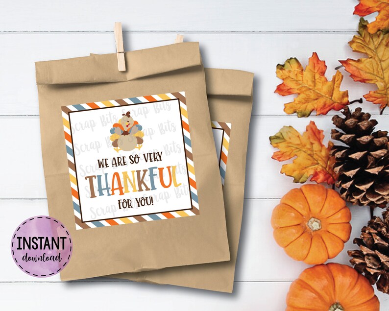 Turkey Thankful Tags We Are so Thankful for You Tags - Etsy
