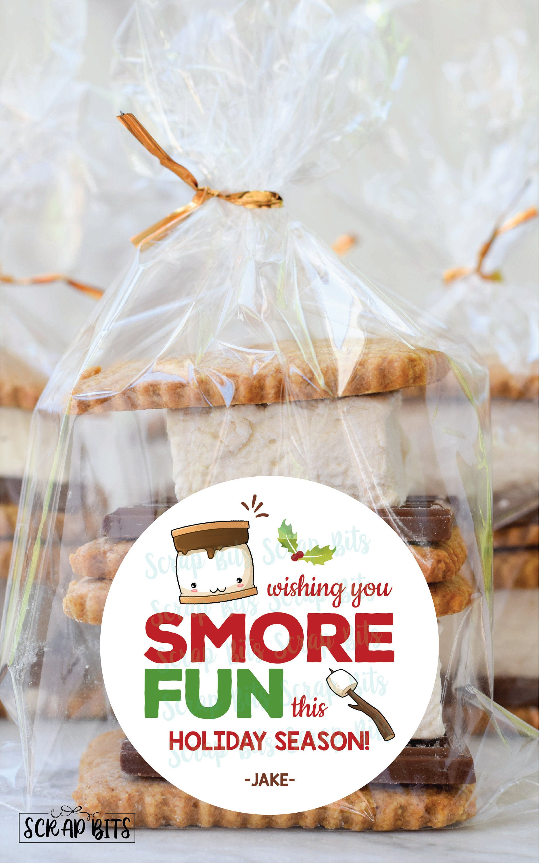 Christmas Smore Stickers & Bags, Wishing You Smore Fun This Holiday ...