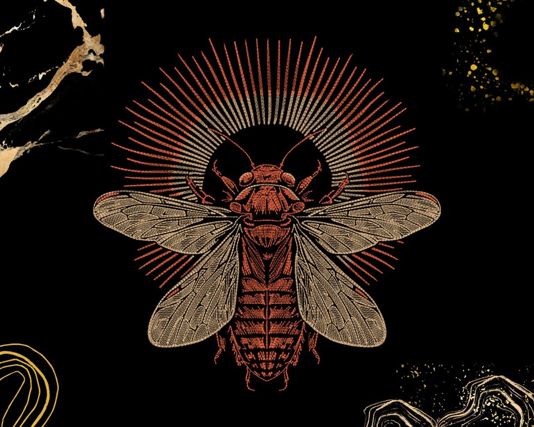 Cicada Embroidery Design | Boho Insect Art | Nature-inspired Machine ...