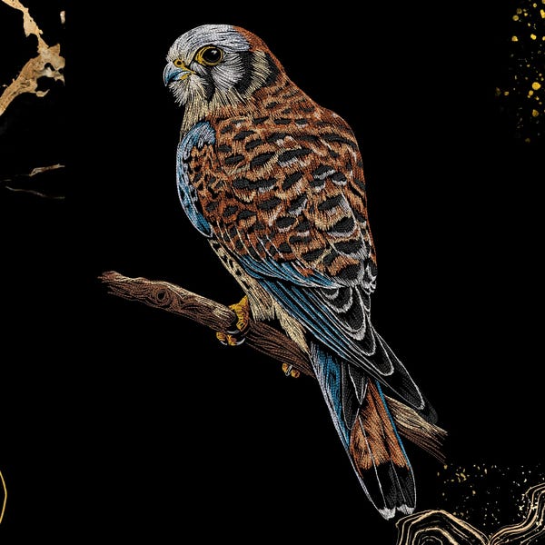 Falcon Embroidery Design - Etsy