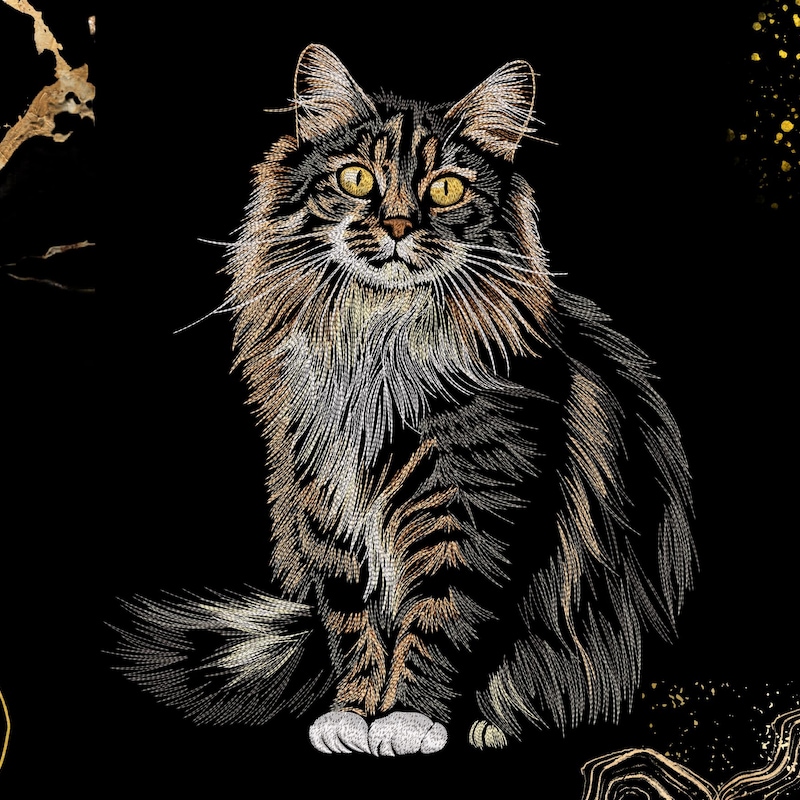 Coon Embroidery Design - Etsy