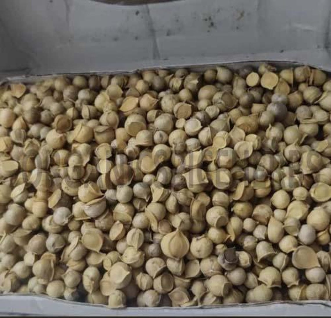 Kashmiri Garlic, Pahadi Lahsun, Himalayan Lahsun, One Clove Garlic ...