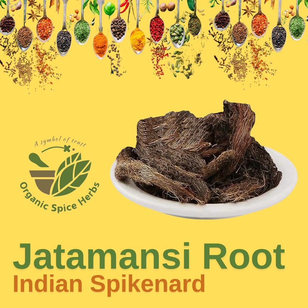 Jatamasi, Nardus Jatamansi Root, Natural Jatamansi Powder, Balchar ...