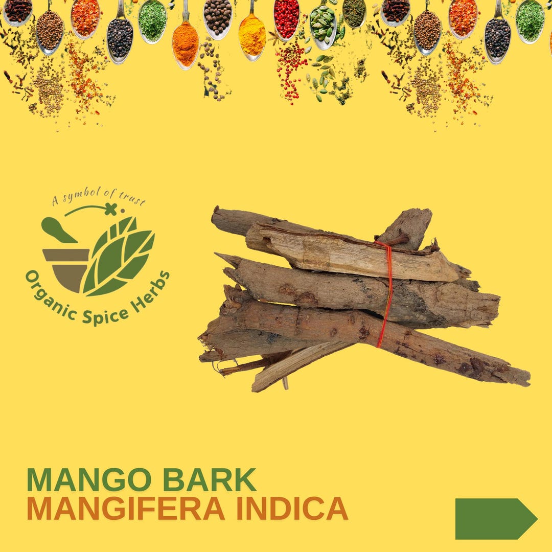 Mango Tree Wood, Whole Mangifera Indica, AAM LAKDI, Mango Tree Wood ...