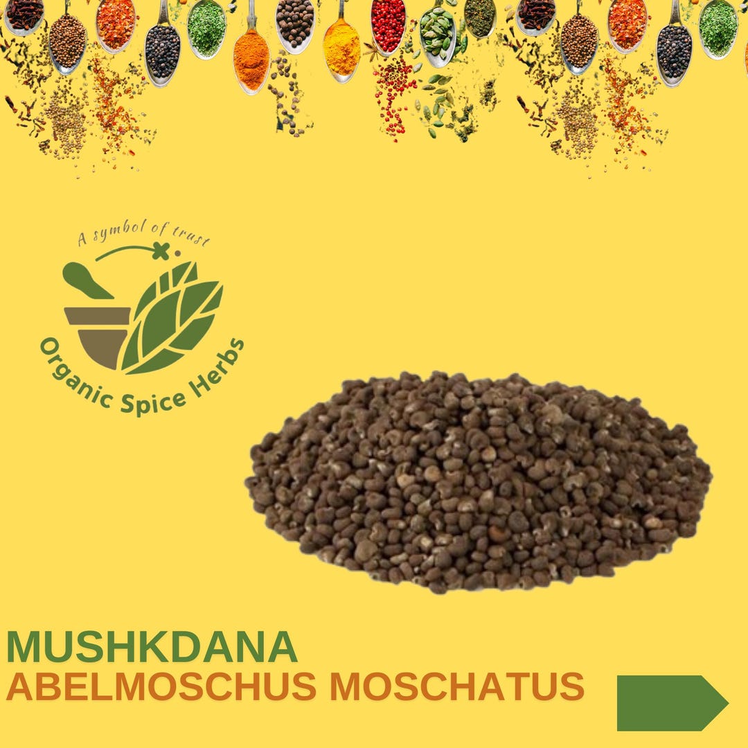 Musk Dana, Musk Ambrette, Dried Ambrette Seed, Abelmoschus Moschatus ...