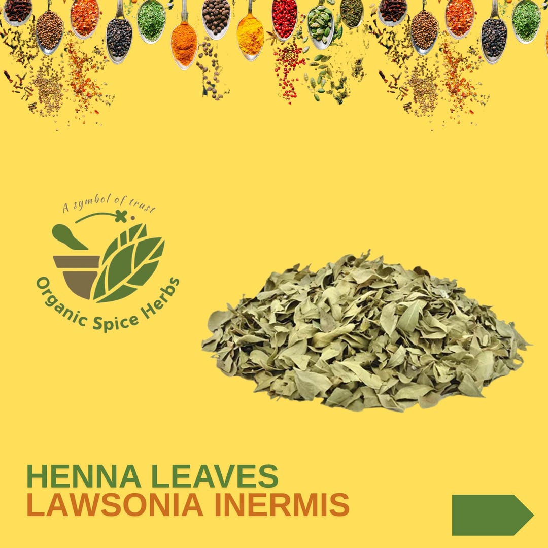 Herbal Henna, Dry Henna Mehandi Leaves, Lawsonia Inermis, Heena Mehandi ...