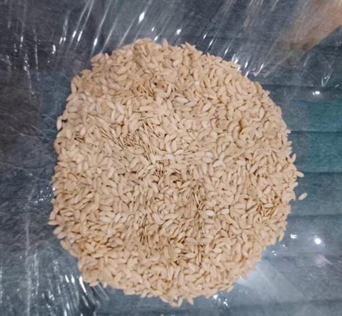 Muskmelon Seeds, Dried Muskmelon Seeds, Magaz Seeds, Kharbooj Beej ...
