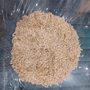 Muskmelon Seeds, Dried Muskmelon Seeds, Magaz Seeds, Kharbooj Beej ...