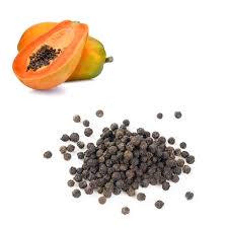Dried Papita Seed, Seeds Papaya, Papaya Seeds, Dried Papita Beej ...