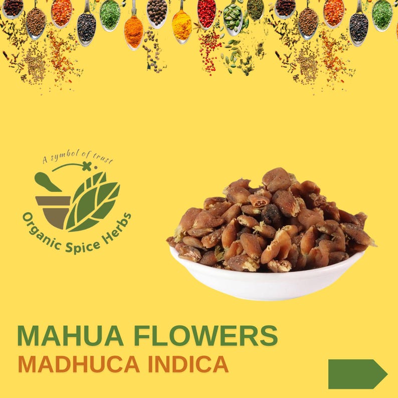 Mahua Dried Flower, Dried Mahua Flower, Madhuca Longifolia, Butternut ...