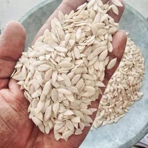 Muskmelon Seeds, Dried Muskmelon Seeds, Magaz Seeds, Kharbooj Beej ...