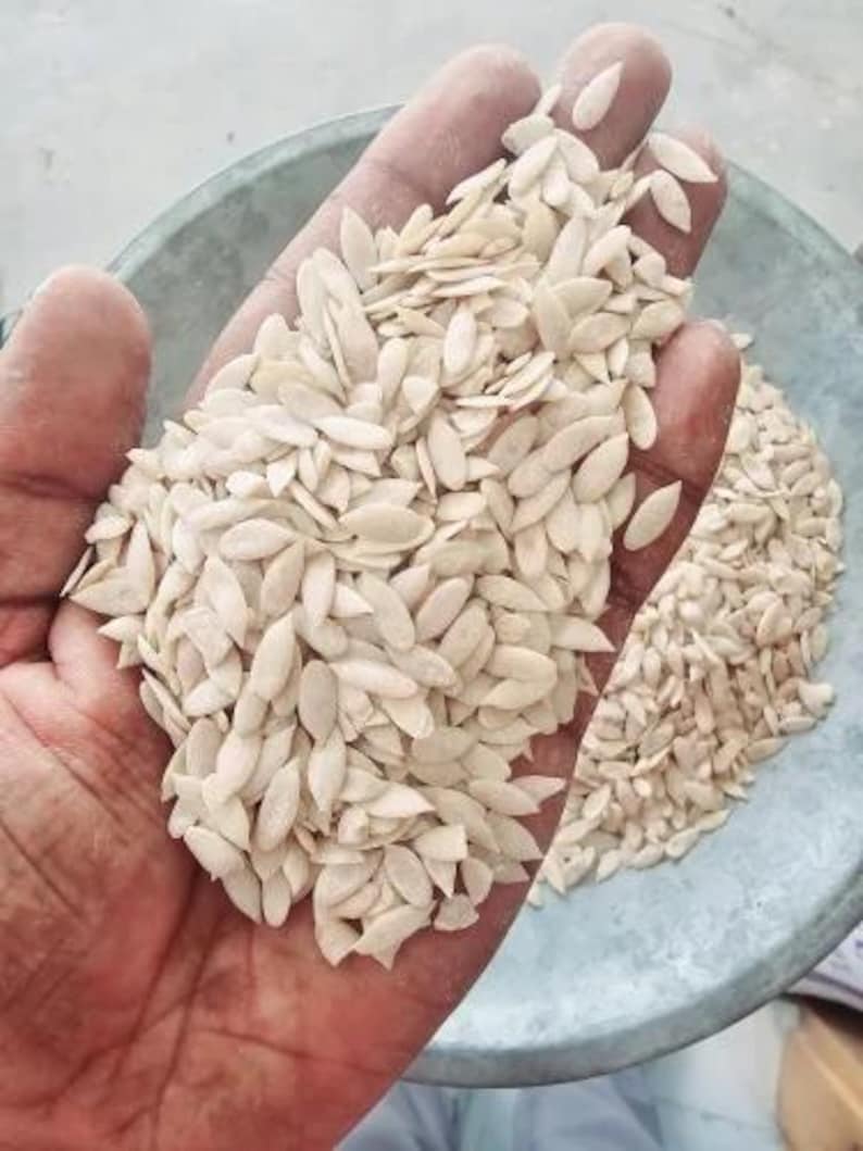 Muskmelon Seeds, Dried Muskmelon Seeds, Magaz Seeds, Kharbooj Beej ...