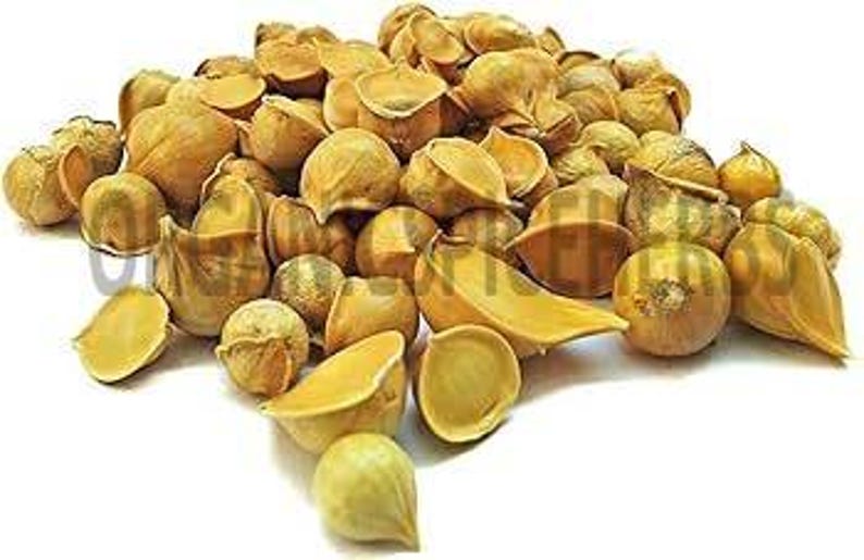 Kashmiri Garlic, Pahadi Lahsun, Himalayan Lahsun, One Clove Garlic ...