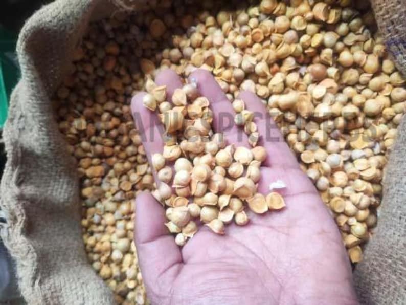 Kashmiri Garlic, Pahadi Lahsun, Himalayan Lahsun, One Clove Garlic ...
