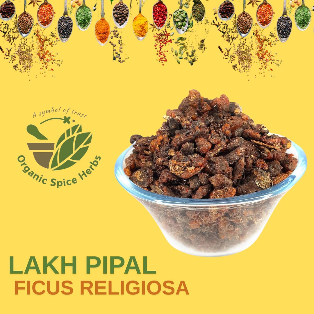 Shellac Lakh, Lakh Pipal, Ficus Religiosa , Pipal Lakh, Lakh Kachli ...
