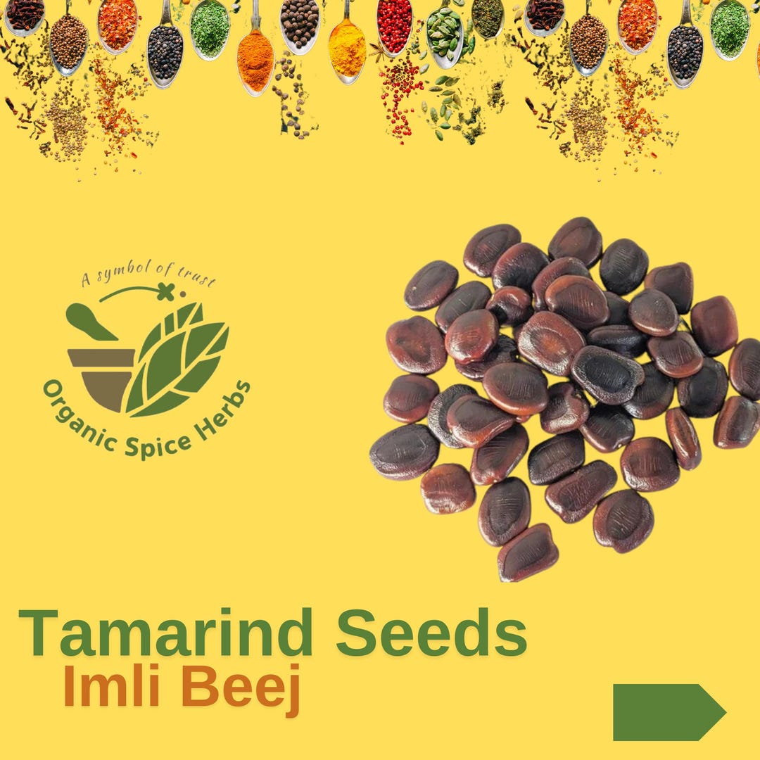 Tamarind Seeds, Tamarindus Indica Seed, Imli, Imli Beej, Imli Beej ...