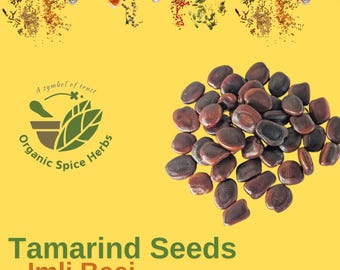 Tamarindus Indica Seed, Pure Tamarind Seeds, Imli, Imli Beej, Imli Beej ...