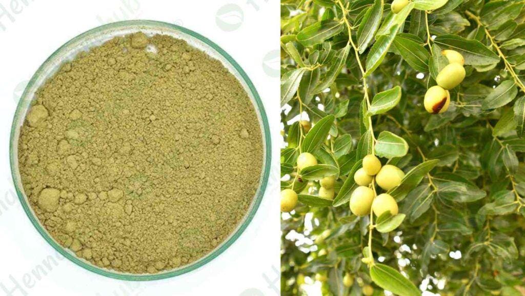 Sidr Powder, Dry Sidr Powder, Sidr (lote) Leaf Powder, Sidr Leaves for ...