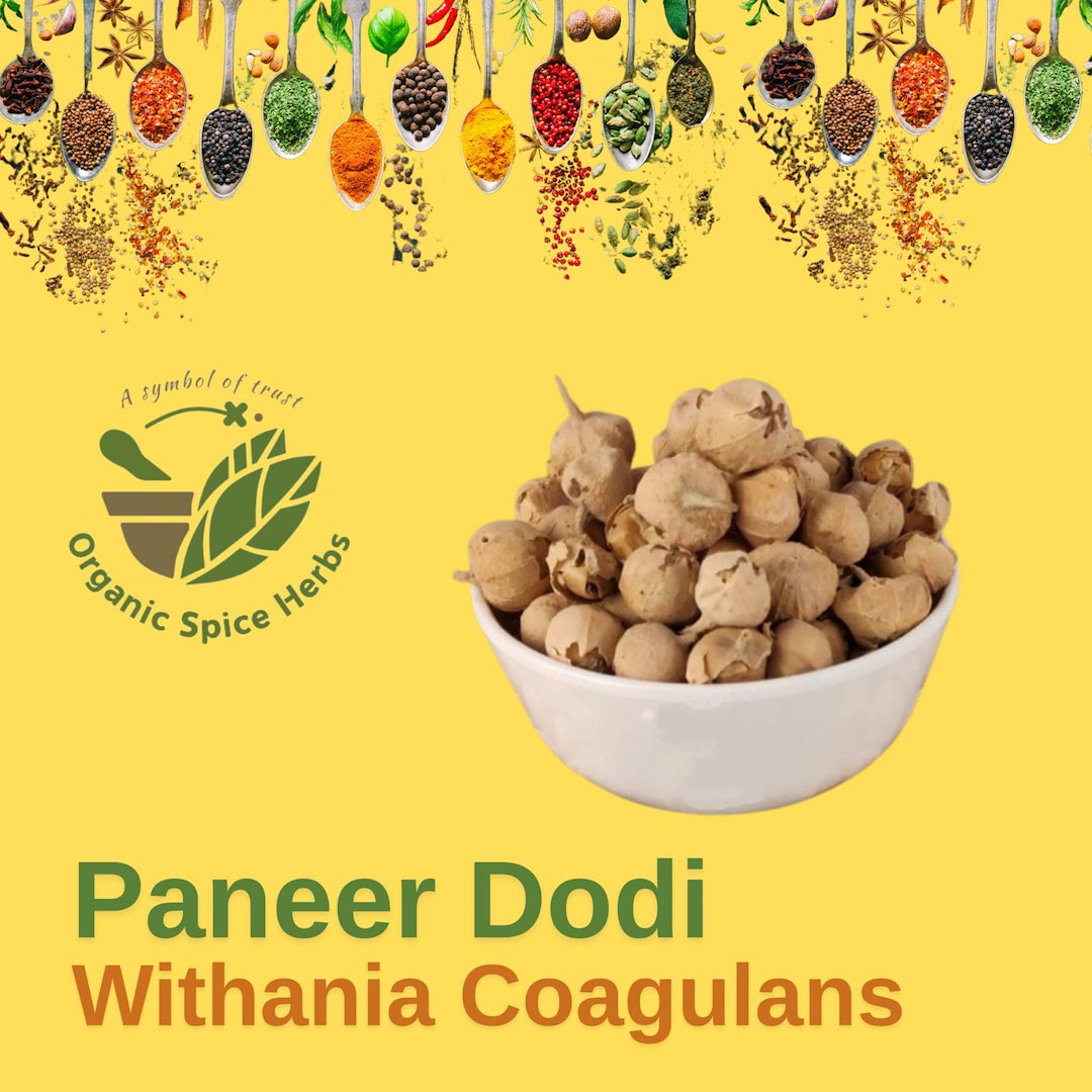 Paneer Dodi, Paneer Dodi Powder, Withania Coagulans, Raw Herbs, Paneer ...