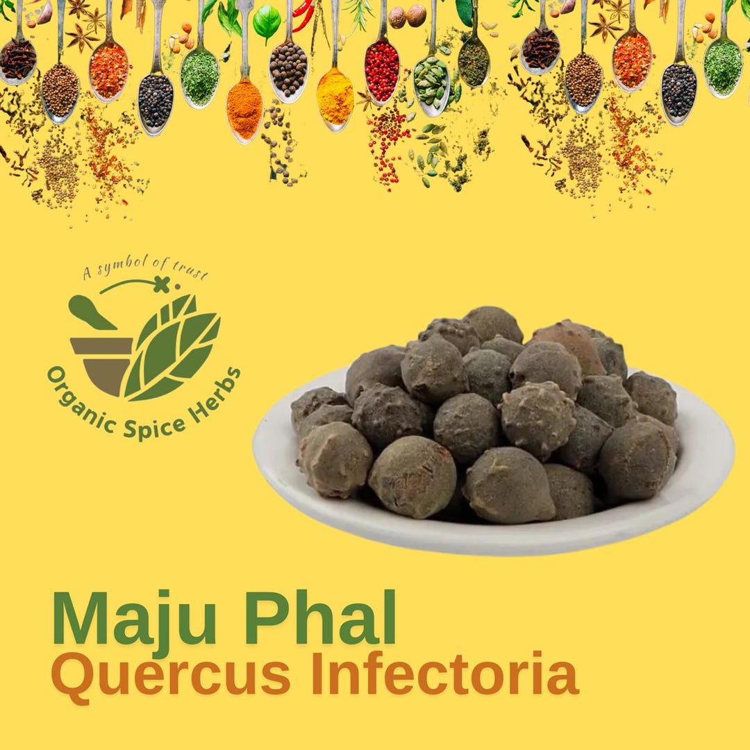 Quercus Infectoria, Maju Phal, Majuphal Powder, Manjakani, Manjakani ...