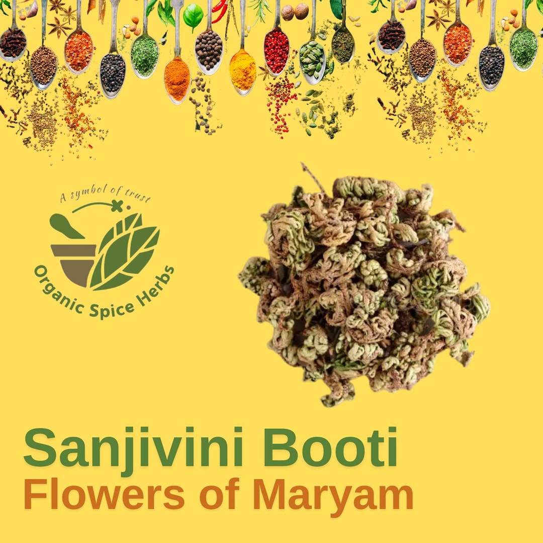 Sanjivini Booti, Kaf Maryam, Flowers of Maryam, Anastatica ...