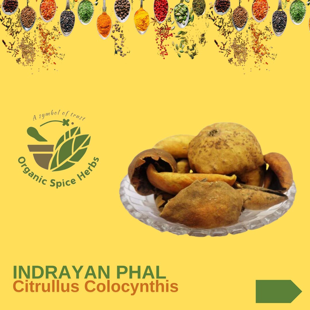 Indrayan Phal, Indrayan Phal Powder, Citrullus Colocynthis, Indrayan ...