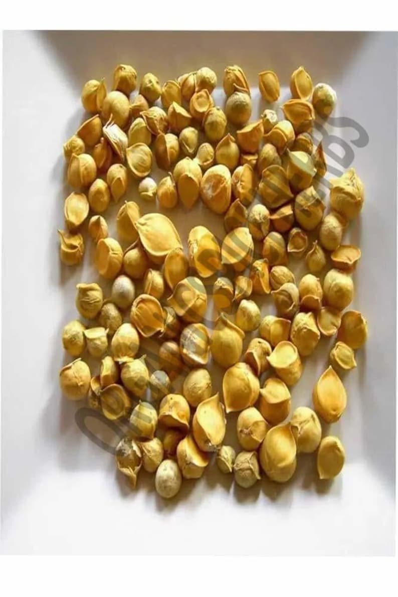 Kashmiri Garlic, Pahadi Lahsun, Himalayan Lahsun, One Clove Garlic ...