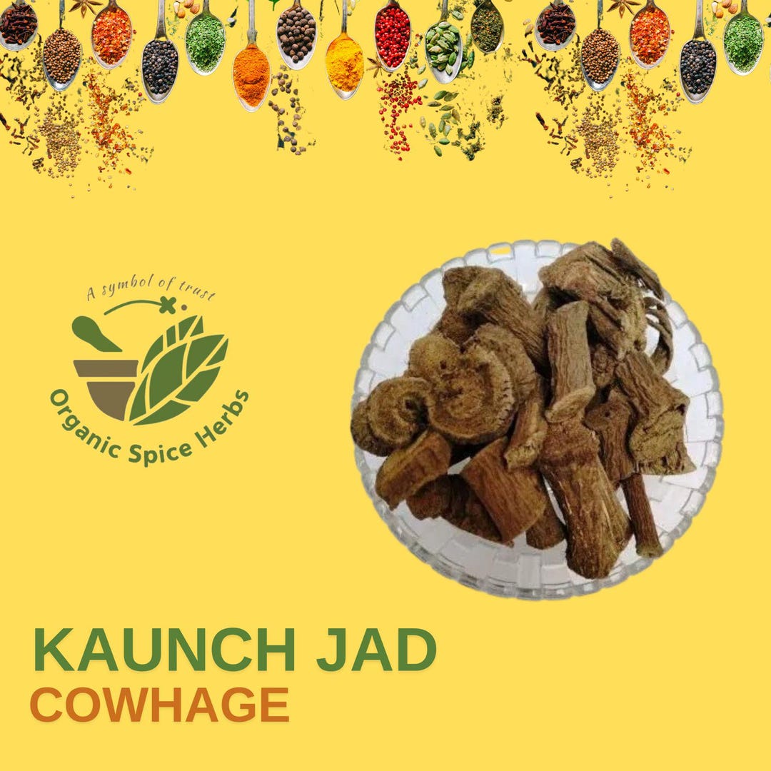 Kaunch Root, Mucuna Root, Konch Jad Powder, Kounch Roots Alkusi ...