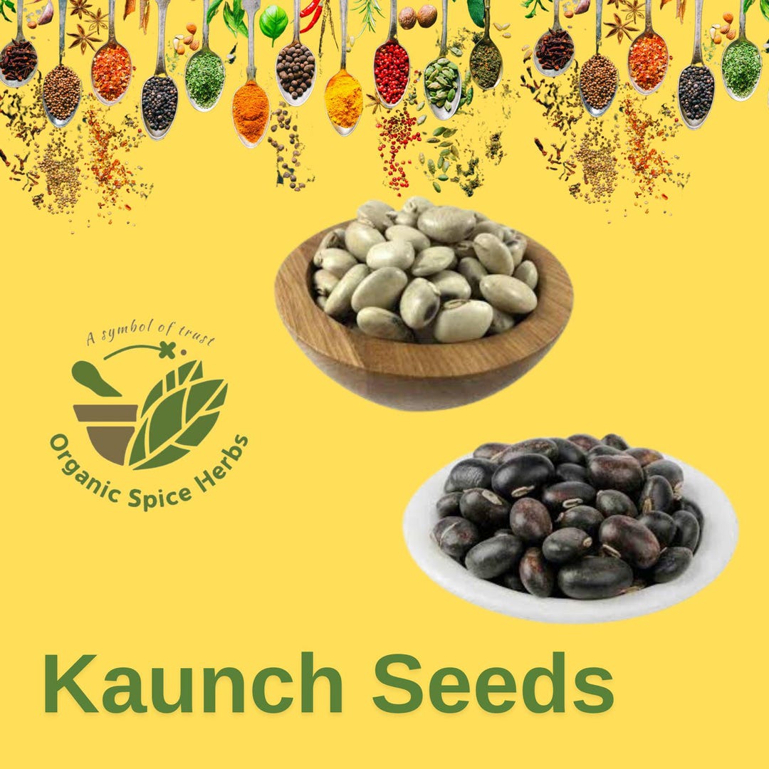 Kaunch Seeds, Kaunch Beej Churna, White Kaunch Beej,cowitch, Cowhage ...