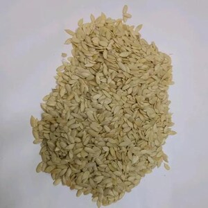 Muskmelon Seeds, Dried Muskmelon Seeds, Magaz Seeds, Kharbooj Beej ...