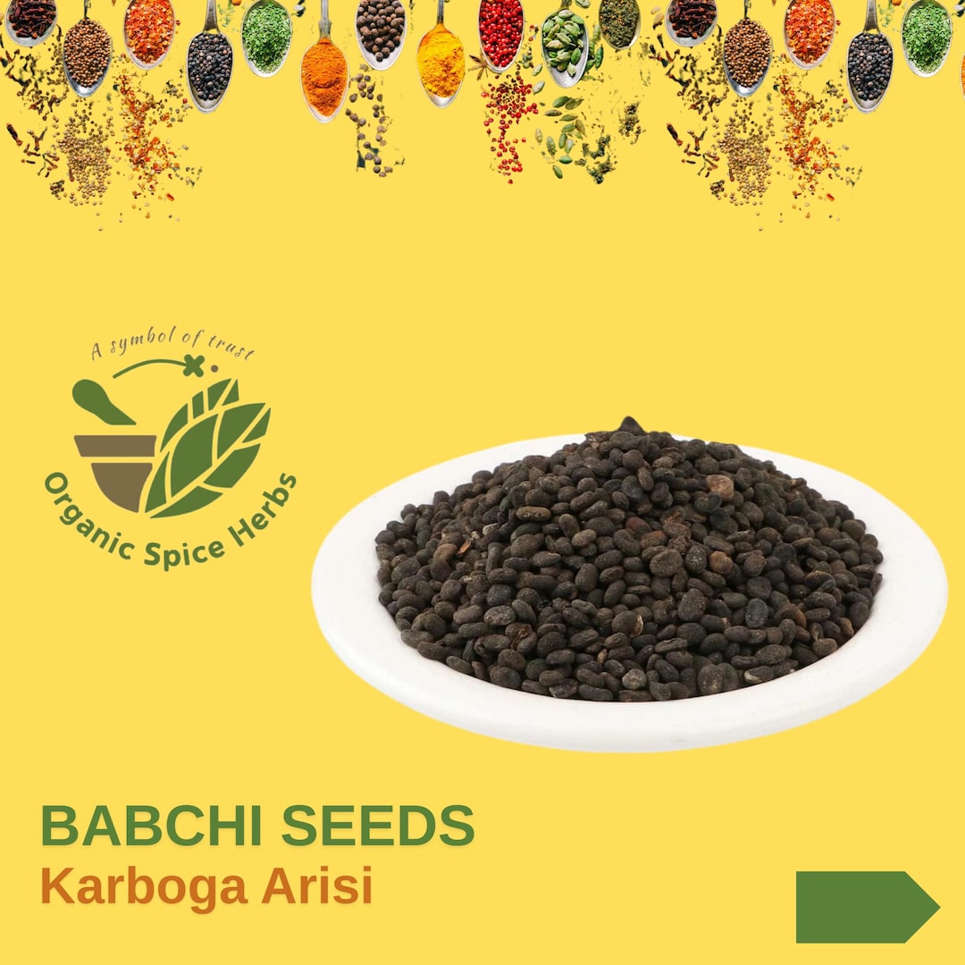 Babchi Seed, Organic Babchi, Pure Karboga Arisi, Hakuchi, Organic Spice ...