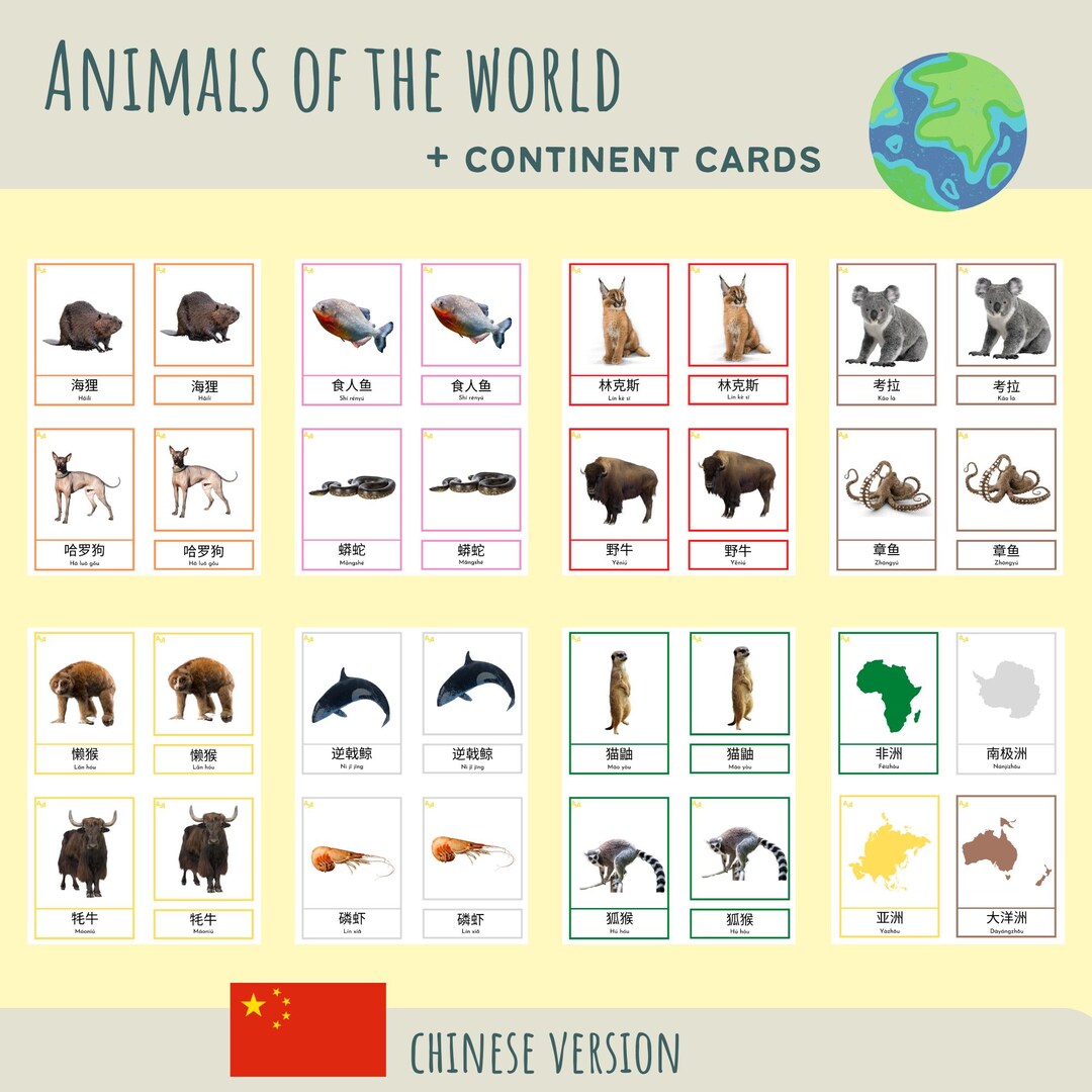Animals of the World Chinese Version Pinyin Included Continent Cards ...